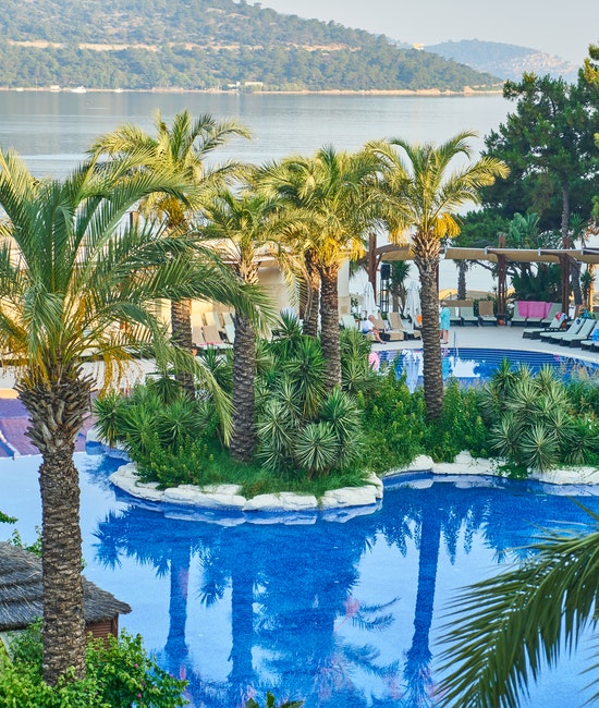 Water Wizard - Pool Services